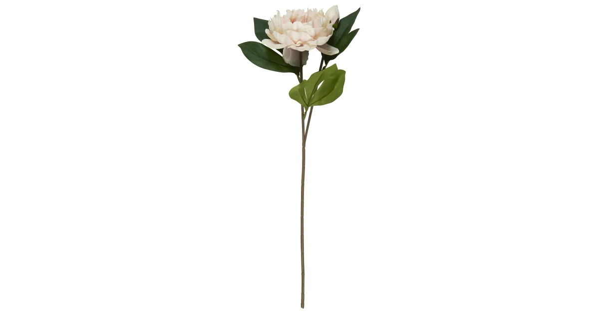 Tekokukka Pioni bud rose – Aidonnäköinen Kukka | IB Laursen » Amalia ...
